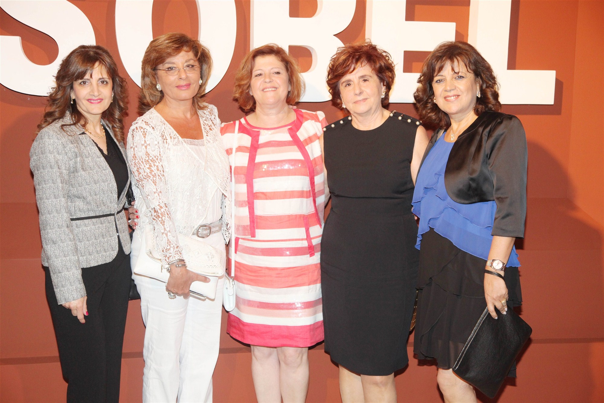 Sesobel - About Us - The people in charge - Support committees